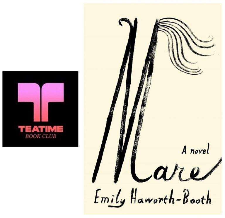 MARE is Dakota Johnson’s TeaTime Book Club June 2026 Pick! - Macmillan ...